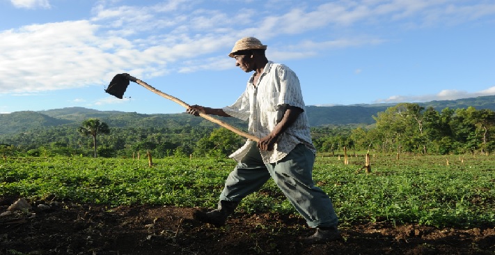 Haiti: Le Ministère de l’Agriculture lance une Enquête Nationale de ...